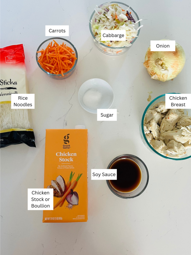 Filipino Chicken Pancit Recipe - Pinch of Wellness